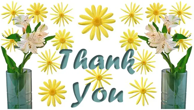 Thank You Half Fold Card 03